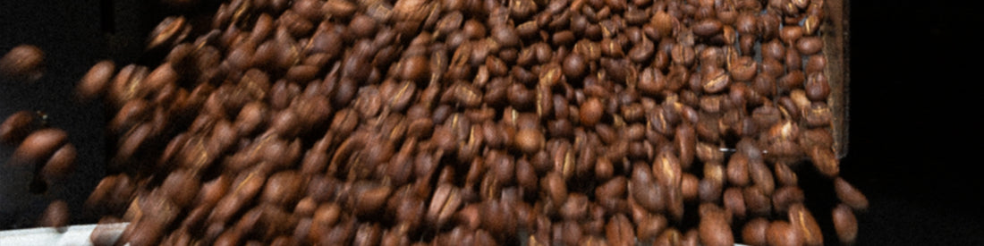 Buy Coffee Online | ST. ALi